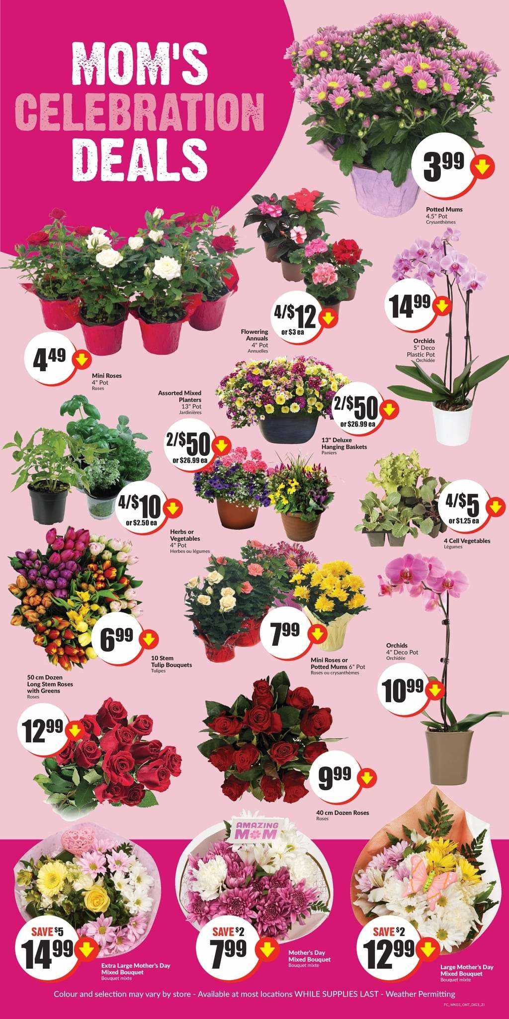 FreshCo ON Flyer May 11 To 17
