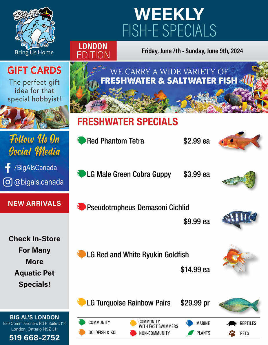 Big Al's (London) Weekend Specials June 7 to 9