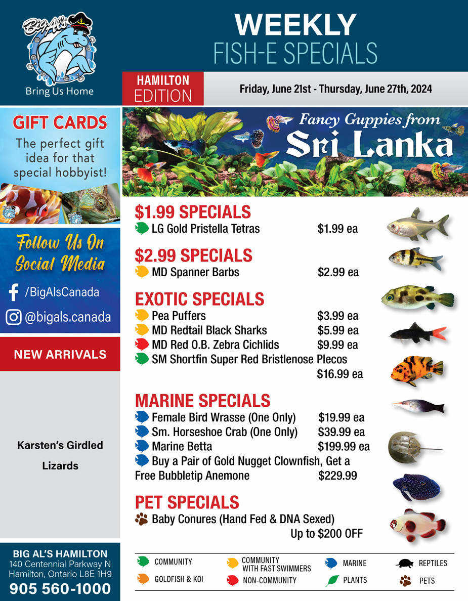 Big Al's (Hamilton) Weekly Specials June 21 to 27