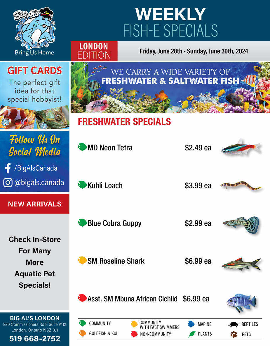 Big Al's (London) Weekend Specials June 28 to 30