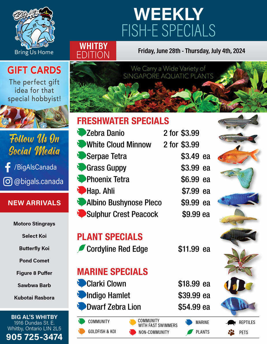 Big Al's (Whitby) Weekly Specials June 28 to July 4