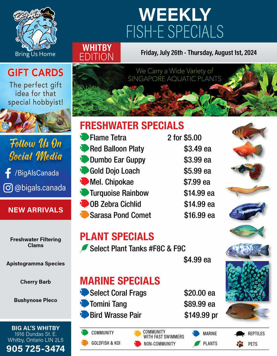 Big Al's (Whitby) Weekly Specials July 26 to August 1