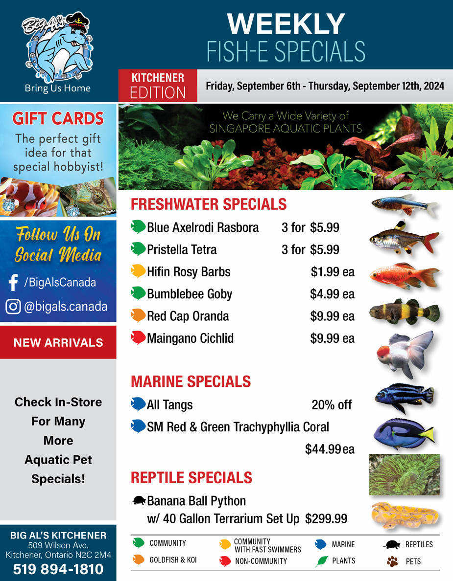 Big Al's (Kitchener) Weekly Specials September 6 to 12