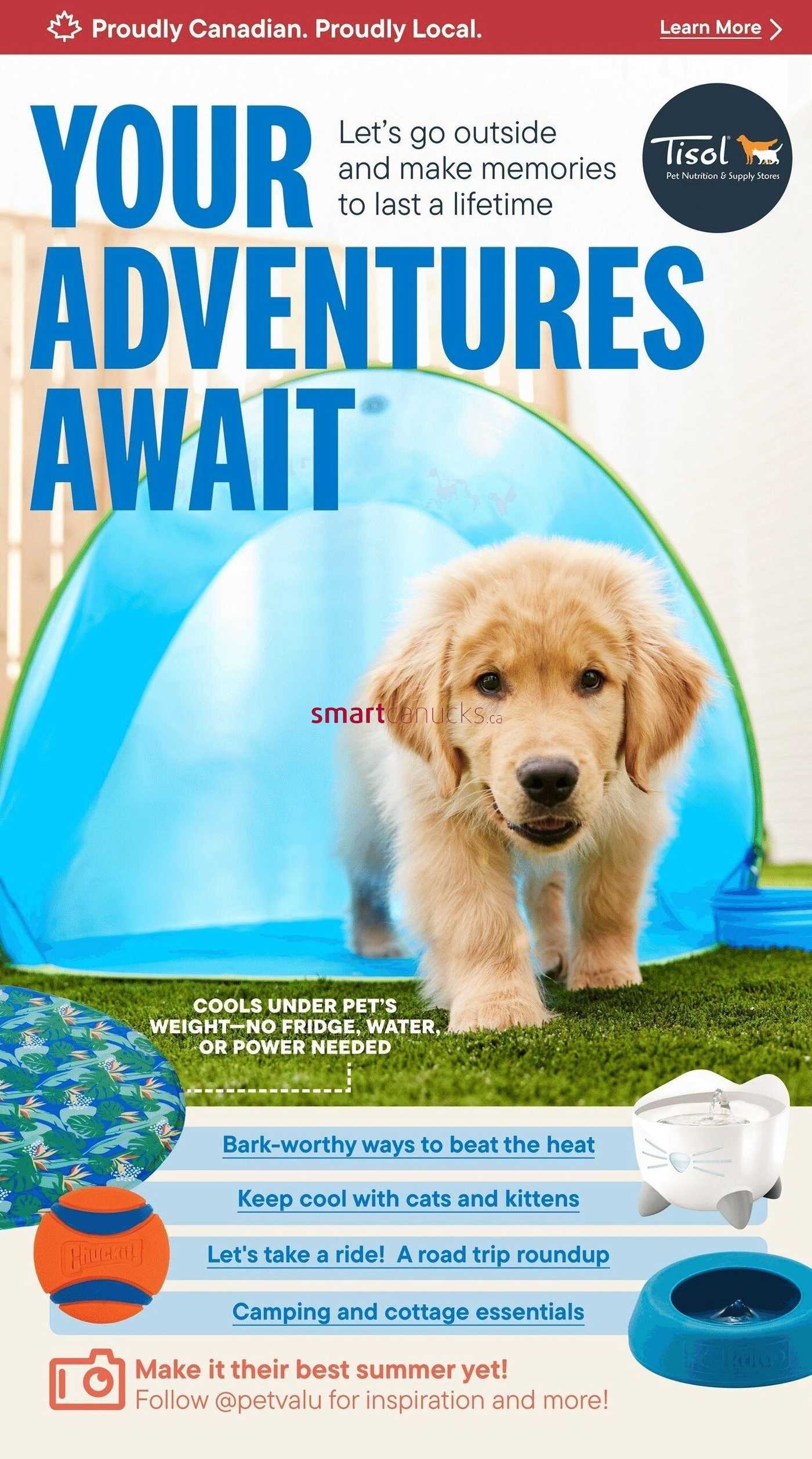 Tisol Pet Nutrition & Supply Stores Flyer July 1 to 31