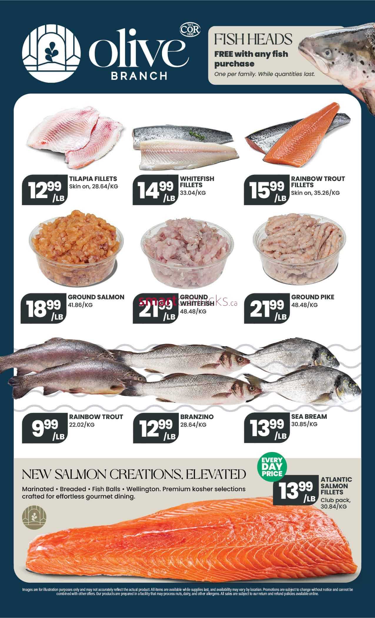 Olive Branch Flyer September 18 to October 1