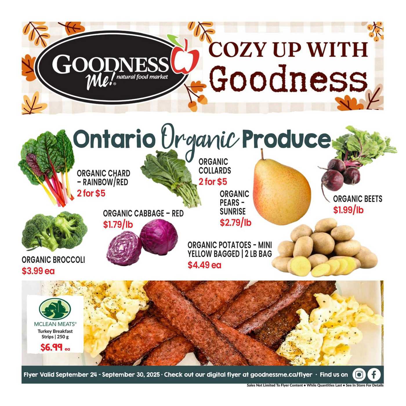 Goodness Me Canada Flyers