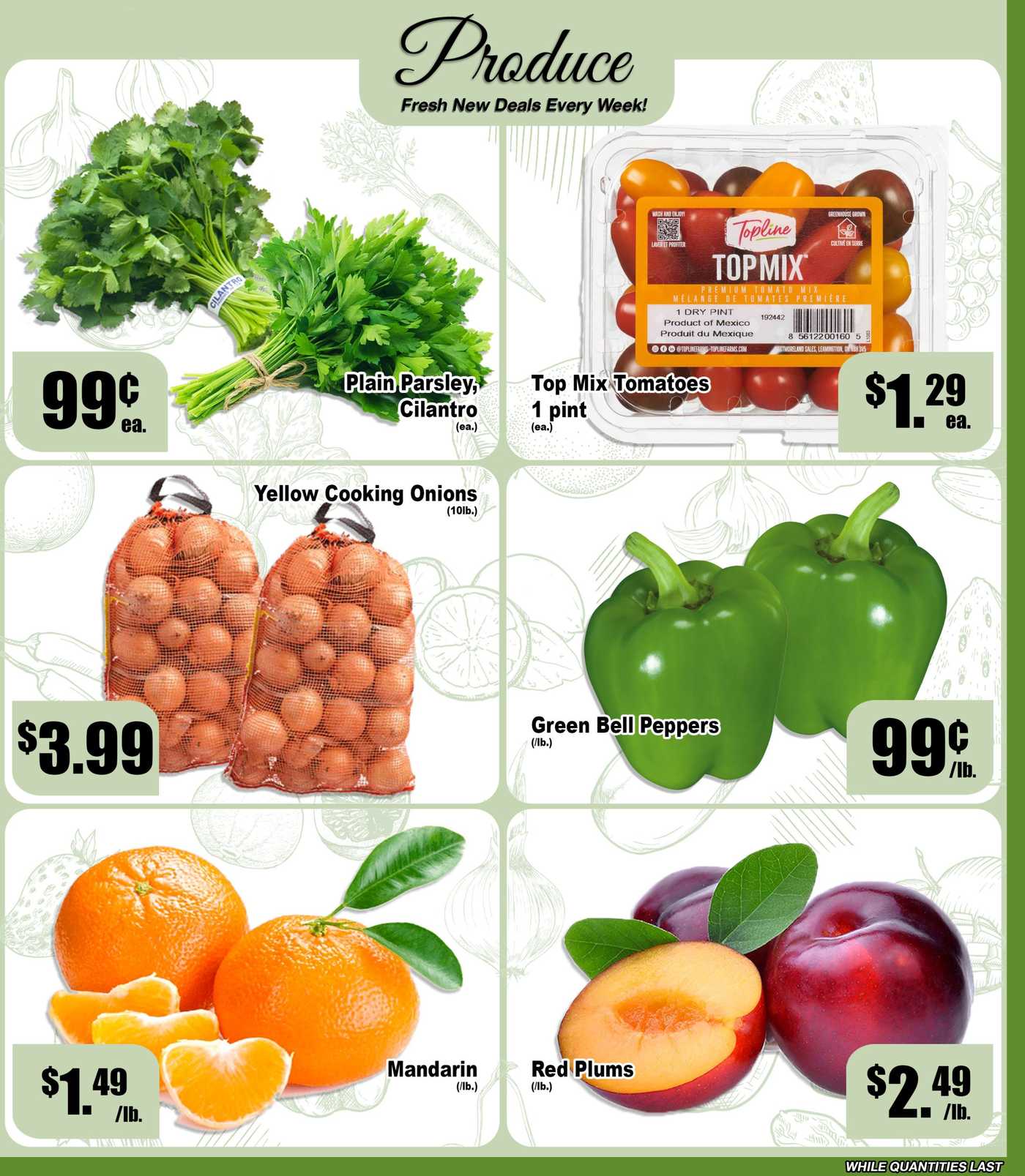 Ammar's Halal Meats Flyer October 16 to 22