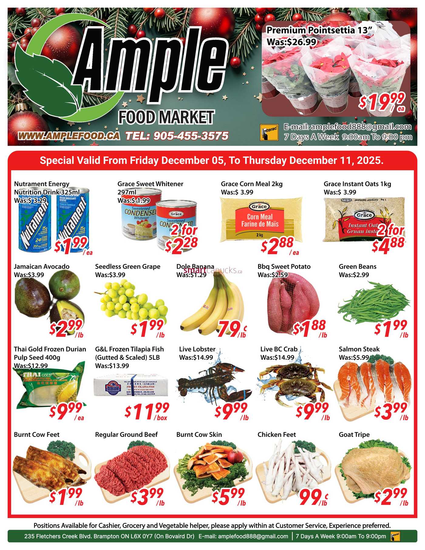 Ample Food Market (Brampton) Flyer December 5 to 11