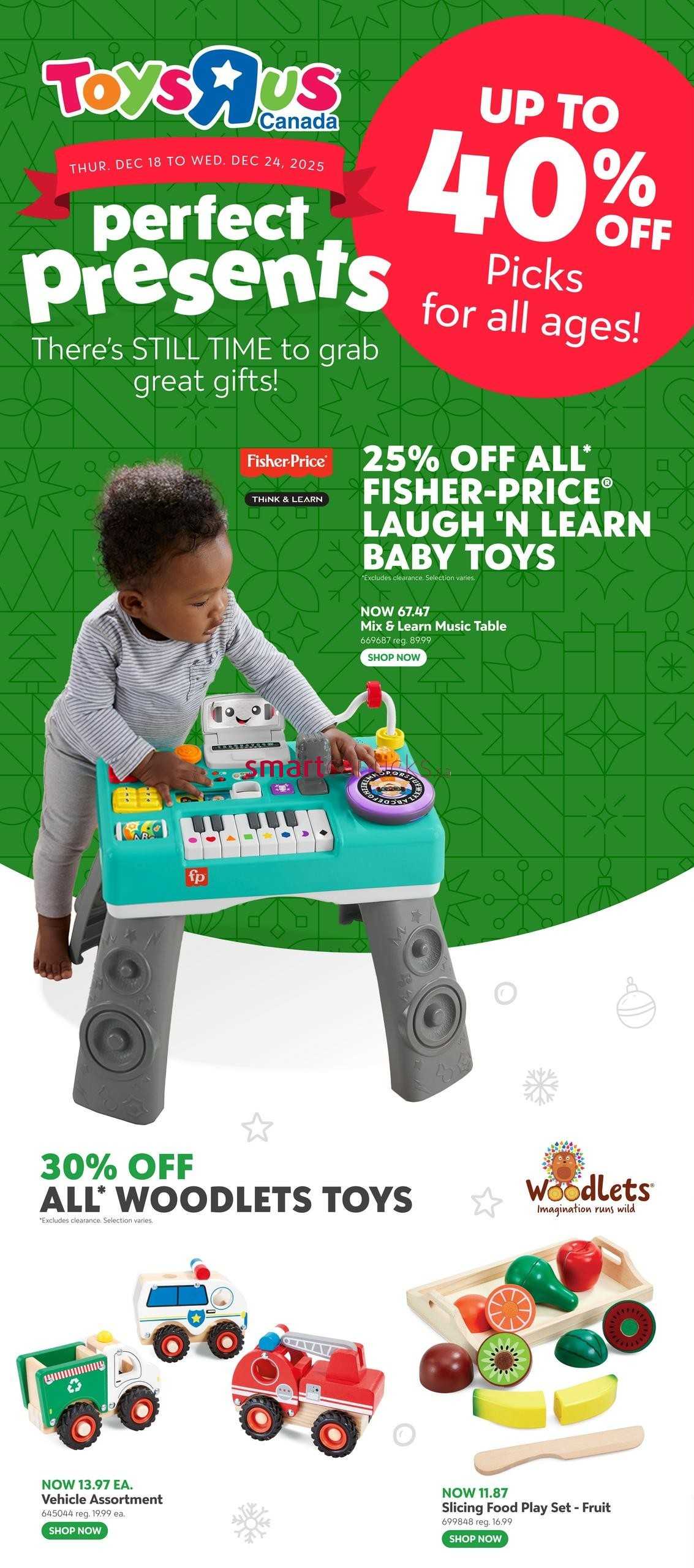 Toys R Us Canada Flyers